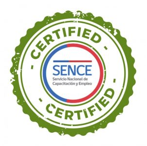 Curso de Reanimación Cardiopulmonar RCP y uso del DEA